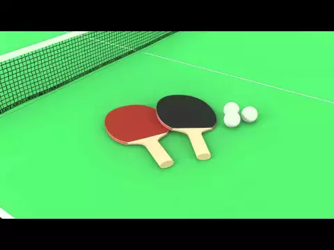 Butterfly Compact 19 Indoor Table Tennis Table – Sweatband