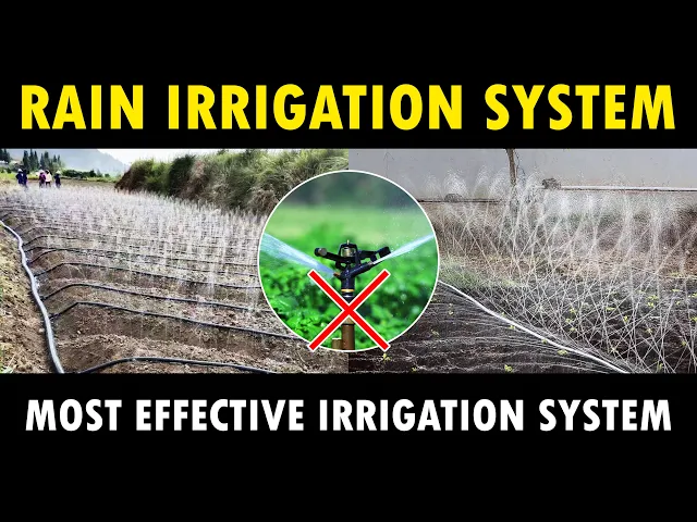 Rain Pipe Irrigation System | Rain Drip Irrigation System