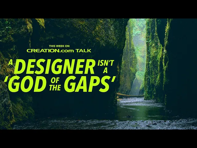 A Designer Isn’t a ‘God of the Gaps’ (creation.com talk) · Videos ...