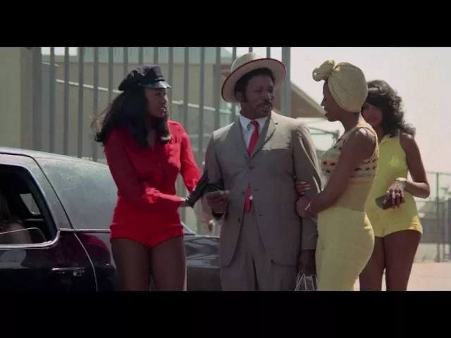 The Best Blaxploitation Movies That Defined The Genre