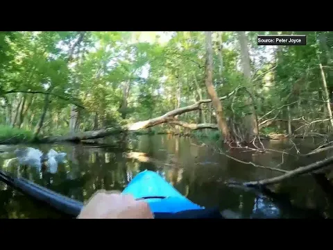 Is Kayaking with Alligators Safe? Do Alligators ATTACK Kayaks?