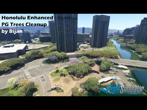 Honolulu Enhanced - PG Trees Cleanup | Bijan Studio