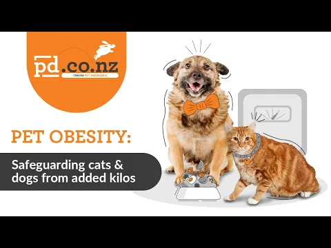 Healthy Pet Food and the Fifth Vital Sign - PD Insurance