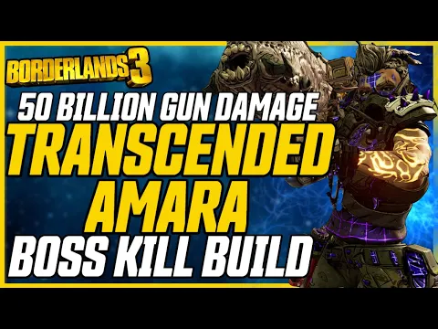 Amara - Transcended V2 Build - Borderlands 3 » MentalMars