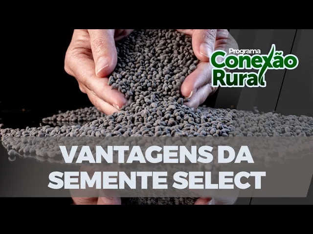 Germipasto - Sementes de Pastagem