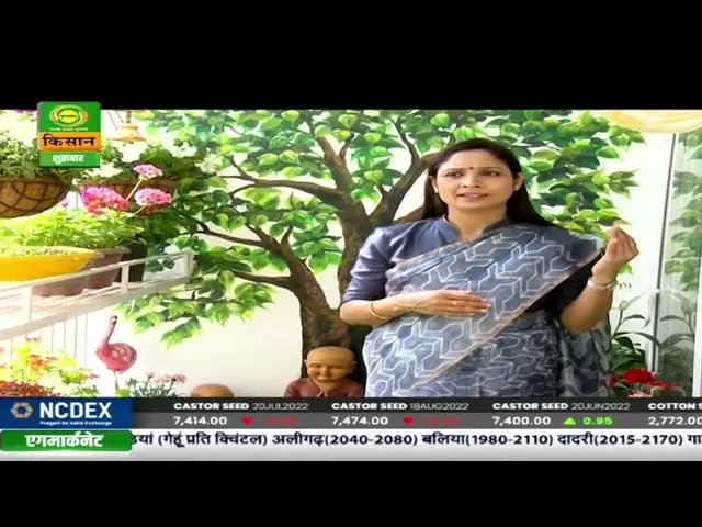 Chhat Par Bagwani : How To Preserve And Use Edible Flowers Grown On ...