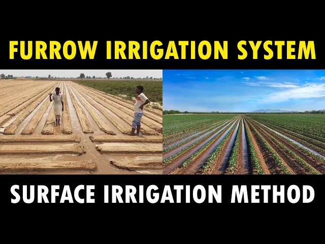 Furrow Irrigation System | Surface Irrigation System | Agriculture ...