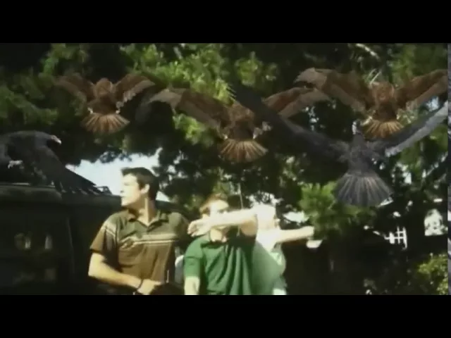 What is Production Value in Film — Low Budget Into High Art