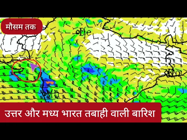 Monsoon 2022 Update: उत्तराखंड, हरियाणा, UP, MP, गुजरात, महाराष्ट्र के कई शहरों में मूसलाधार बारिश