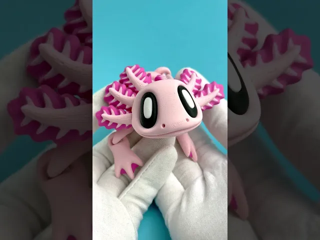 Blob Axolotl - Flexi Articulated Magnetic Art Toy with Seaweed ...