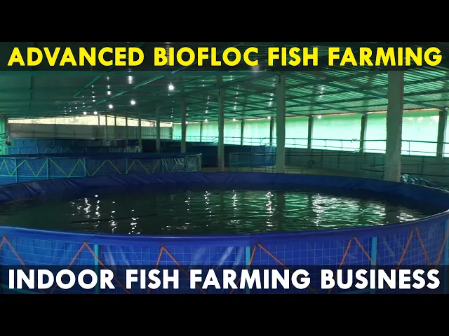 Advanced Biofloc Fish Farming Technology | Indoor Fish Farming Business