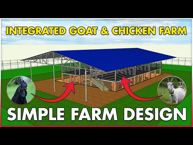 Integrated Goat and chicken farming Shed Design | Integrated Goat and ... Integrated Goat and chicken farming Shed Design | Integrated Goat and ...