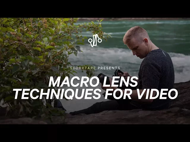 What is a Macro Lens? Tips and Techniques on How to Use One