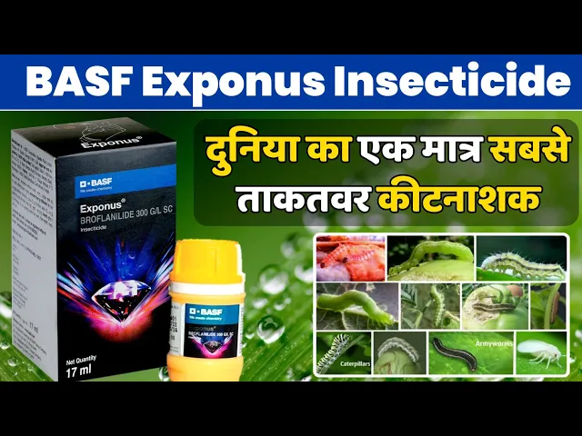 BASF Exponus Insecticide | बी ए एस एफ नया कीटनाशक लॉन्च | Broflanilide ...