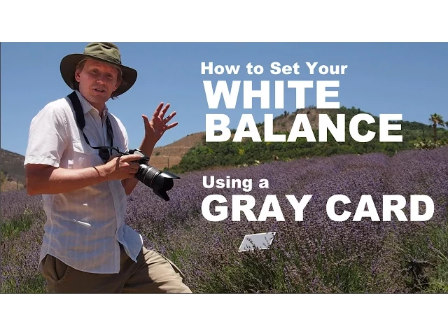 What is White Balance — How it Works and Why It Matters