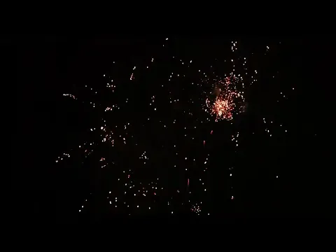 Night Reaper by Black Panther Fireworks | Firework Crazy