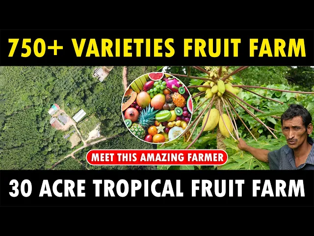 This Passionate Farmer grows more than 700 Exotic Fruit varieties ...