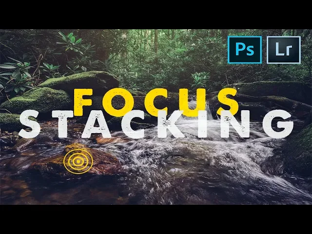 What is Focus Stacking — Examples & How to Stack Photos