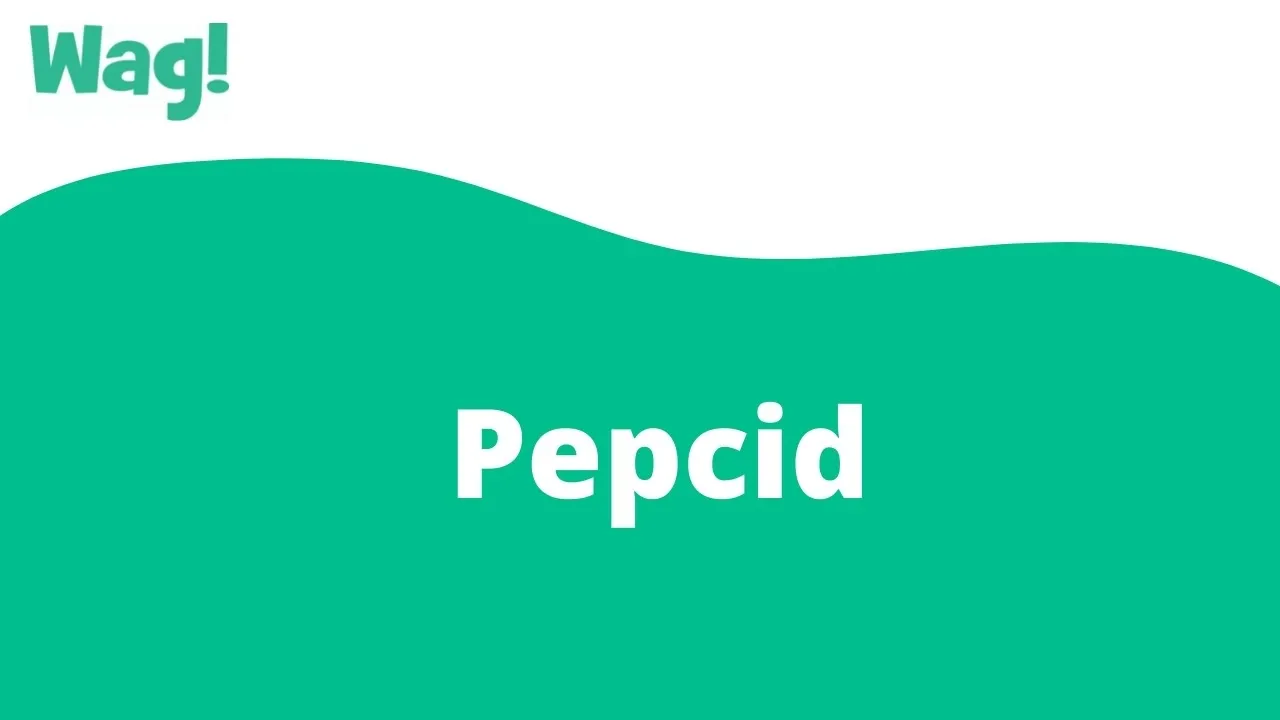 Can A Dog Take Pepcid
