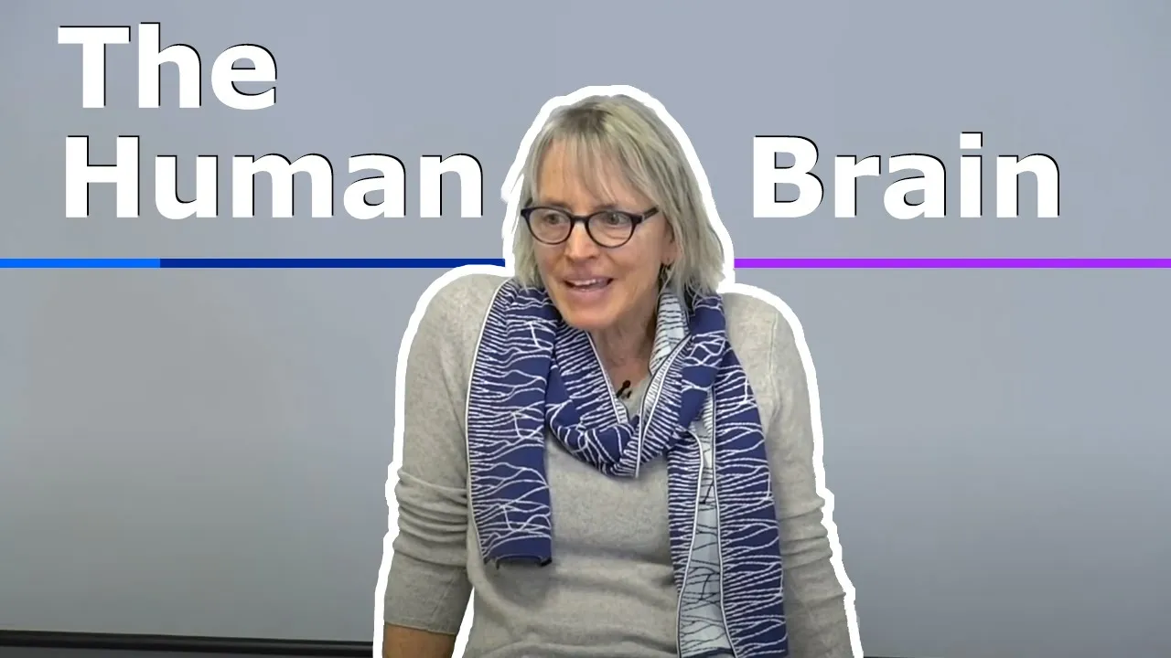 1. Introduction to the Human Brain - Learn, Share, Collaborate.