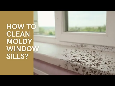 How To Clean Moldy Window Sills? | bondcleaning.sydney
