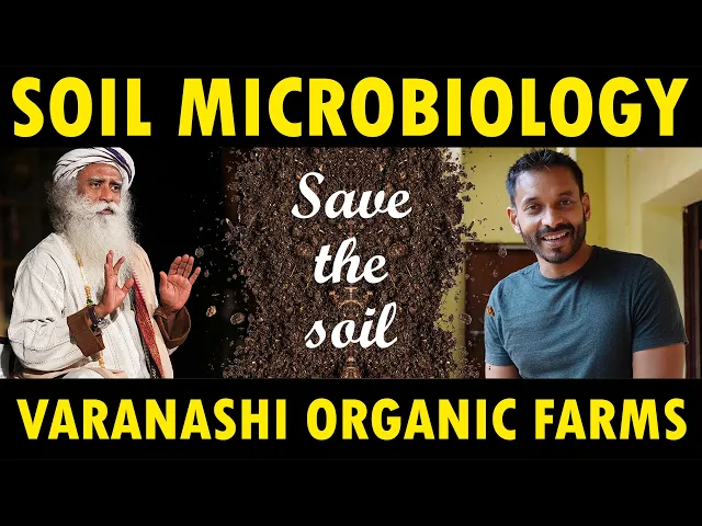 Importance of Soil Microorganisms in Agriculture | Save Soil - Sadhguru ...