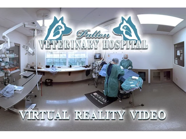 Veterinarian in Red Lion, PA | Patton Veterinary Hospital