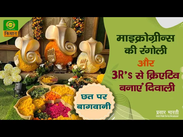 Chhat Par Bagwani : Take your Diwali decoration a level up with ...