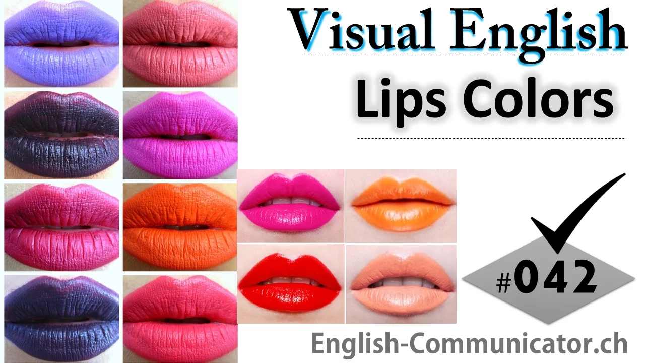 #028 Visual English Language Learning Practical Vocabulary Human ...