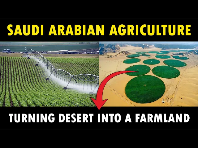 How Saudi Arabia Transformed Desert into Agricultural Farmland ...