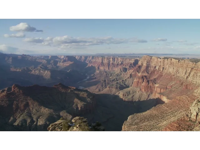 Upside down geological column · Videos · Creation.com