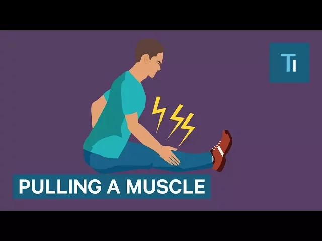 Here's what happens to the body when you pull a muscle | We Are The Mighty