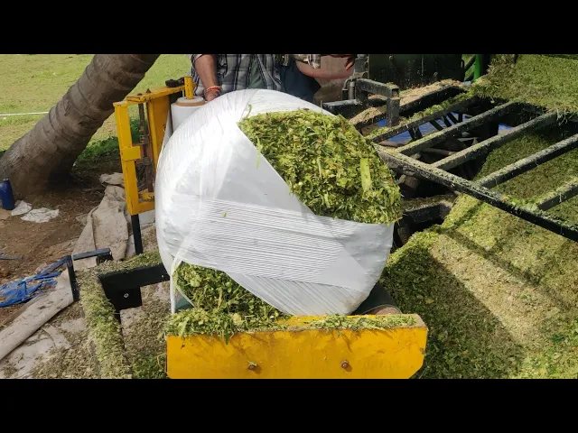 Corn Silage Making process | Cattle feed | Silage Benifits | Mahindra ...