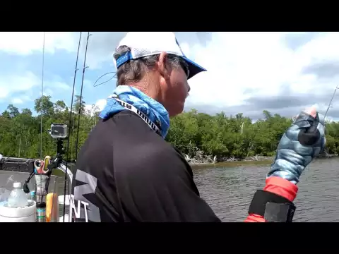 Guide To Fishing With Finger Mullet As LIVE BAIT (Catch Redfish Bluefish)