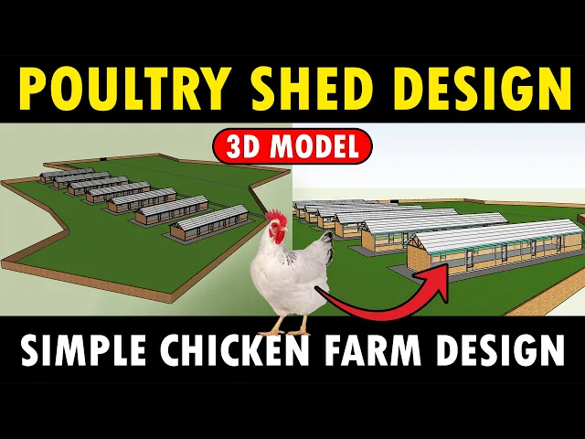Poultry Shed Design | Broiler & Layer Chicken Farm Design