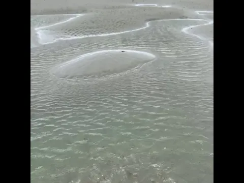 Pacific Island Navigation - The Natural Navigator