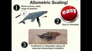 Size: The master trait (for better and for worse)-Amy Maas, BIOS