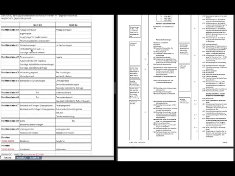 Chart of accounts SKR 03 and SKR 04 | What are the differences? - Ralf 100M