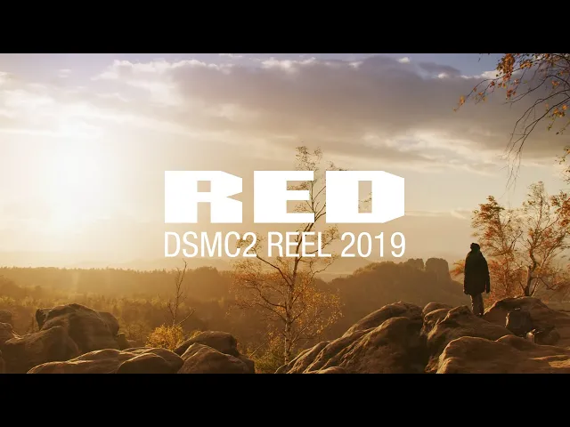 Which RED Camera to Buy? RED Digital Cinema Lineup Explained